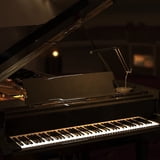 19" LED Upright Piano Light in Black and Brass - Walmart.com