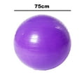 Quickwittc Exercise Ball Extra Thick Professional Grade Balance ...