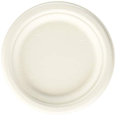 Hefty PCTD7730000CBT Super Strong Paper Plates (Pack of 30) | Walmart ...