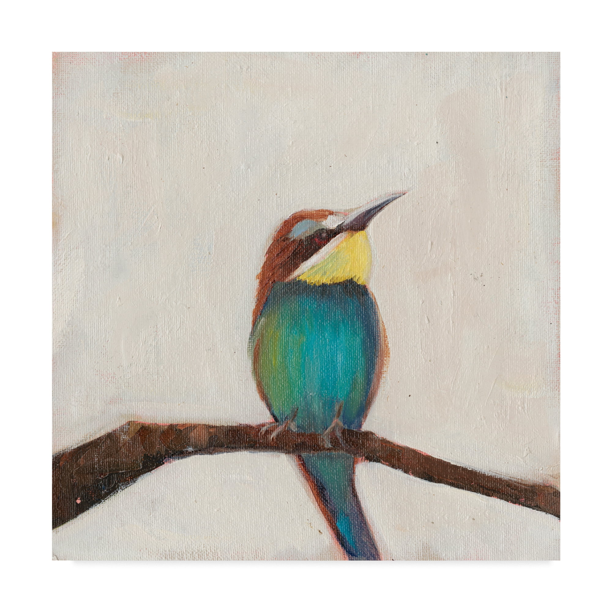 Trademark Fine Art 'Bird Profile II' Canvas Art by Sandra Iafrate ...