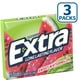 Extra Watermelon Sugar Free Chewing Gum - 15 ct (3 Pack) - Walmart.com