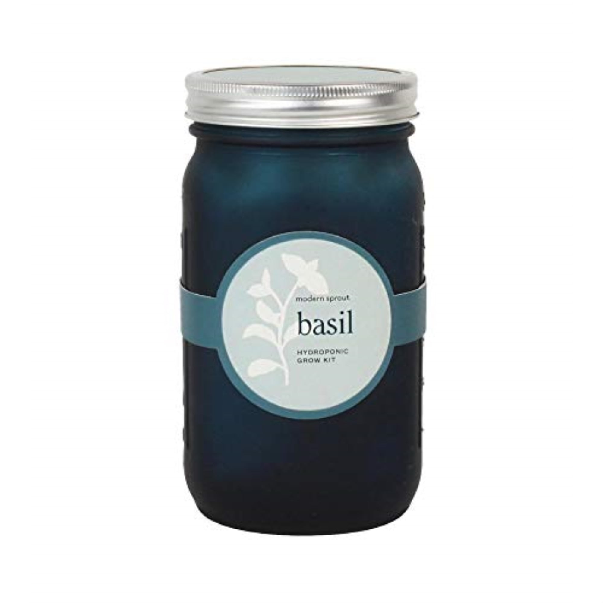 7006068 GROW KIT BASIL JAR Modern Sprout Basil Grow Kit (Pack of 1 ...