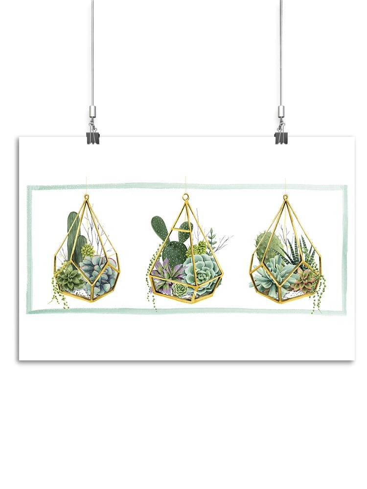 Hanging Terrarium Collection Poster - Grace Popp Designs, - Walmart.com