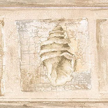 878533 Sea Shells Wallpaper Border CT46052b - Walmart.com