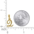Sterling Silver Yellow-Tone Unisex Cursive Initial Alphabet Q Charm ...