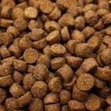 Higgins Pet Foods, Ferret Food, 4 lbs, Complete & Balanced Diet ...