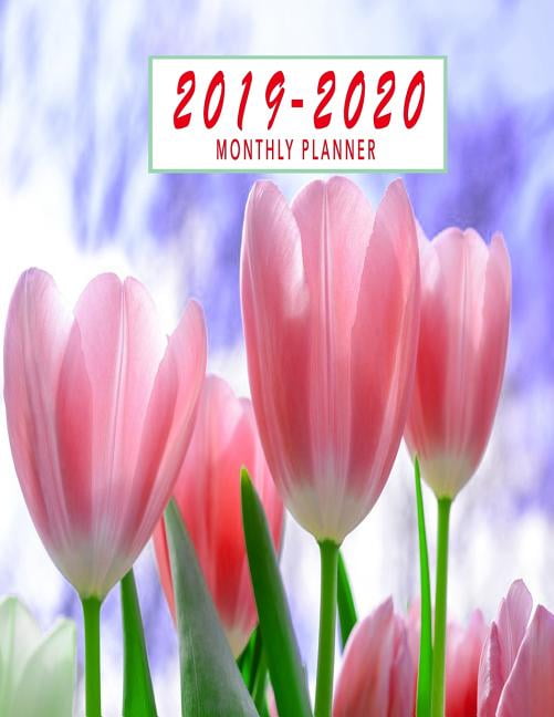 2019-2020 Monthly Planner: Two Year Calendar Planner - January 2019 ...