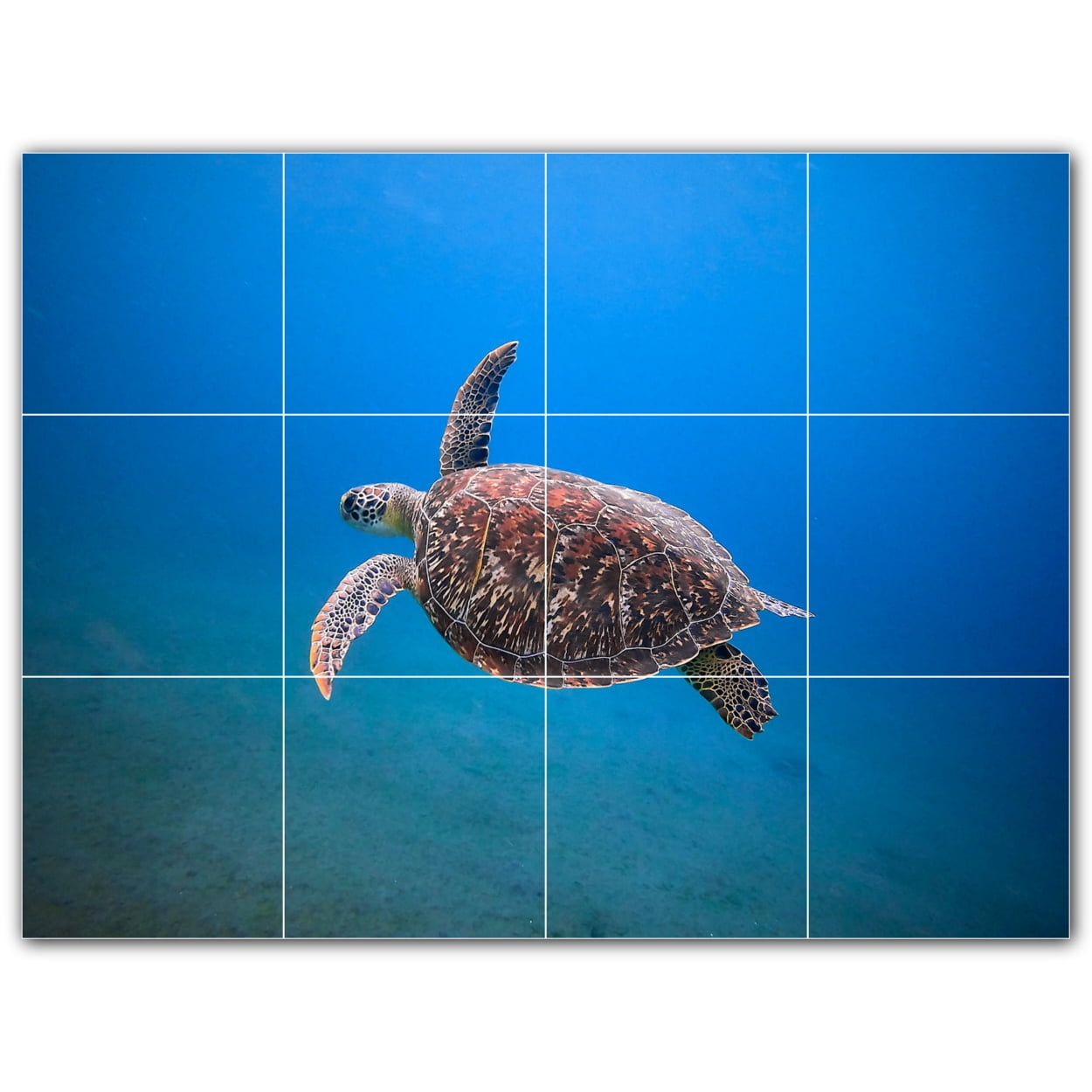 Picture-Tiles.com: Turtle Ceramic Tile Wall Mural WAL501070-43S. 17"W x ...