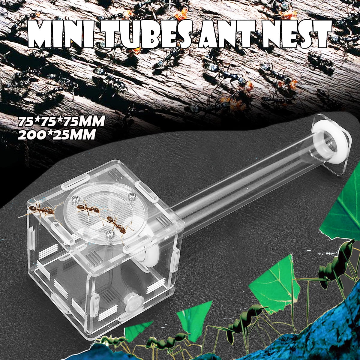 Mini Ant Nest Farm Glass Tubes For Live Ants Queen Ants Small Colony ...