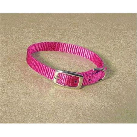 Hamilton Pet Company - Single Thick Nylon Dog Collar- Hot Pink .38 X 12 ...