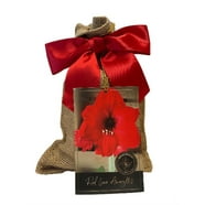 Grow Willow for Biofuel, Biomass - Fresh Cuttings to Plant - Easy and ...