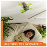 Free Shipping! HEX BOTS Wall Crawler Gecko Remote Control Toy for Kids ...