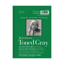Strathmore 400 Series Toned Gray Sheet 19"X24"-Single Sheet - Walmart.com