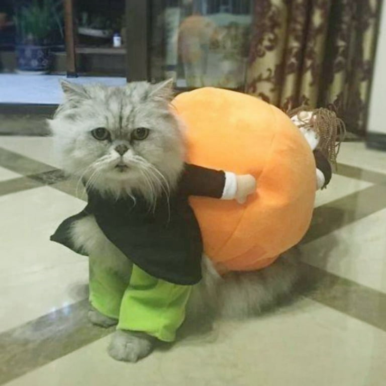 Cat Pumpkin Costume