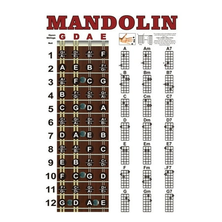 Mandolin Chords Chart of Popular Chords Mandolin Notes Mandolins Chords ...