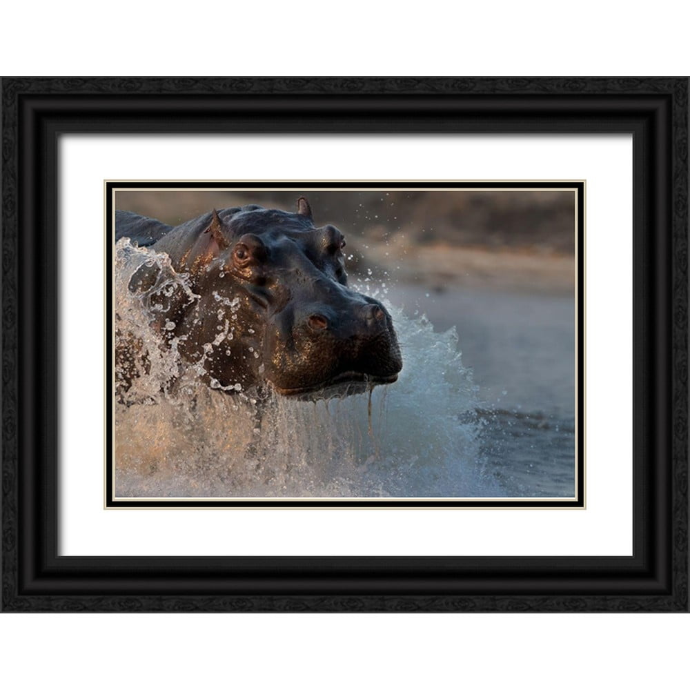 Chang, Phillip 18x13 Black Ornate Wood Framed with Double Matting ...