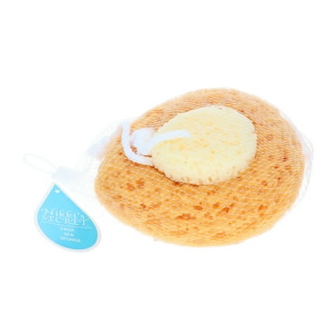 Cleanlogic Exfoliating Foam Sea Sponge, Bathing Body Scrubber for Deep ...