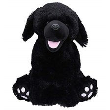 Bundy Newfoundland 16 inch - Stuffed Animal by Douglas Cuddle Toys ...