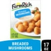 Farm Rich Breaded Mozzarella Cheese Sticks, 22 oz (Frozen Snacks and ...