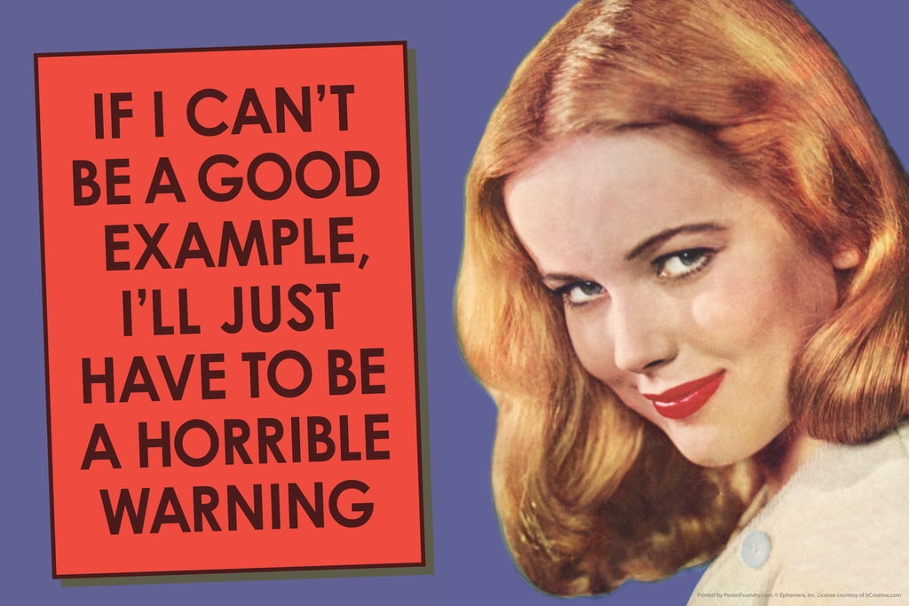 If I Cant Be A Good Example Ill Just Have To Be A Horrible Warning ...