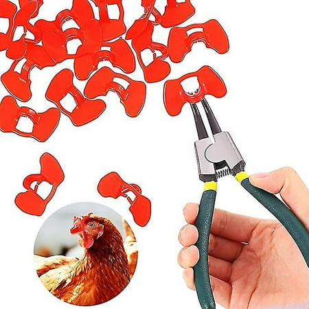 Chicken Goggles, 100 Pieces Antipeck Goggles, Plastic Chicken Goggles ...