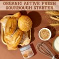 Living Dough - Keto Live Sourdough Starter Culture - Low Carb ...