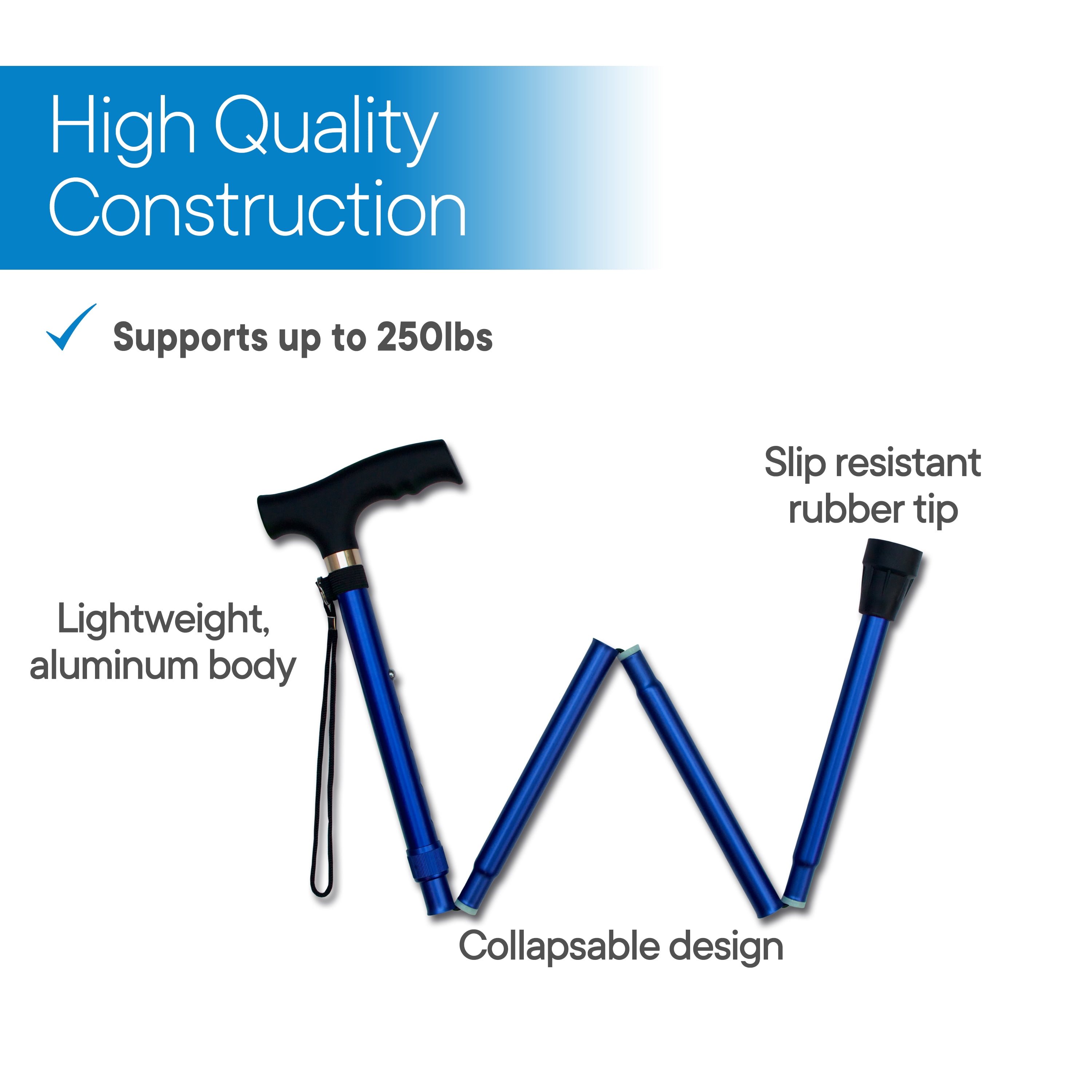 Walking Stick Body Parts