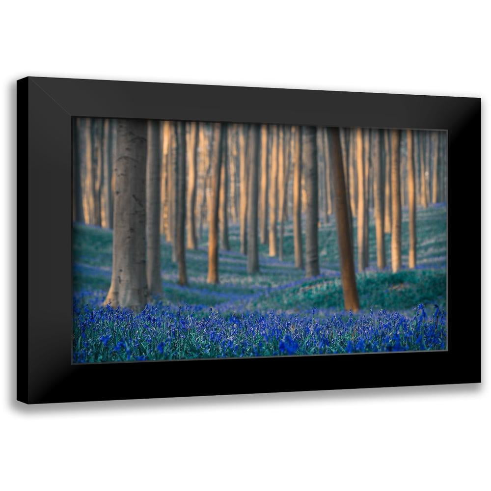 Popan, Adrian 24x17 Black Modern Framed Museum Art Print Titled ...