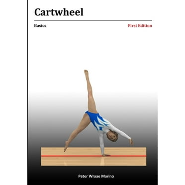 Microsoft Azure for Dummies (Paperback) - Walmart.com