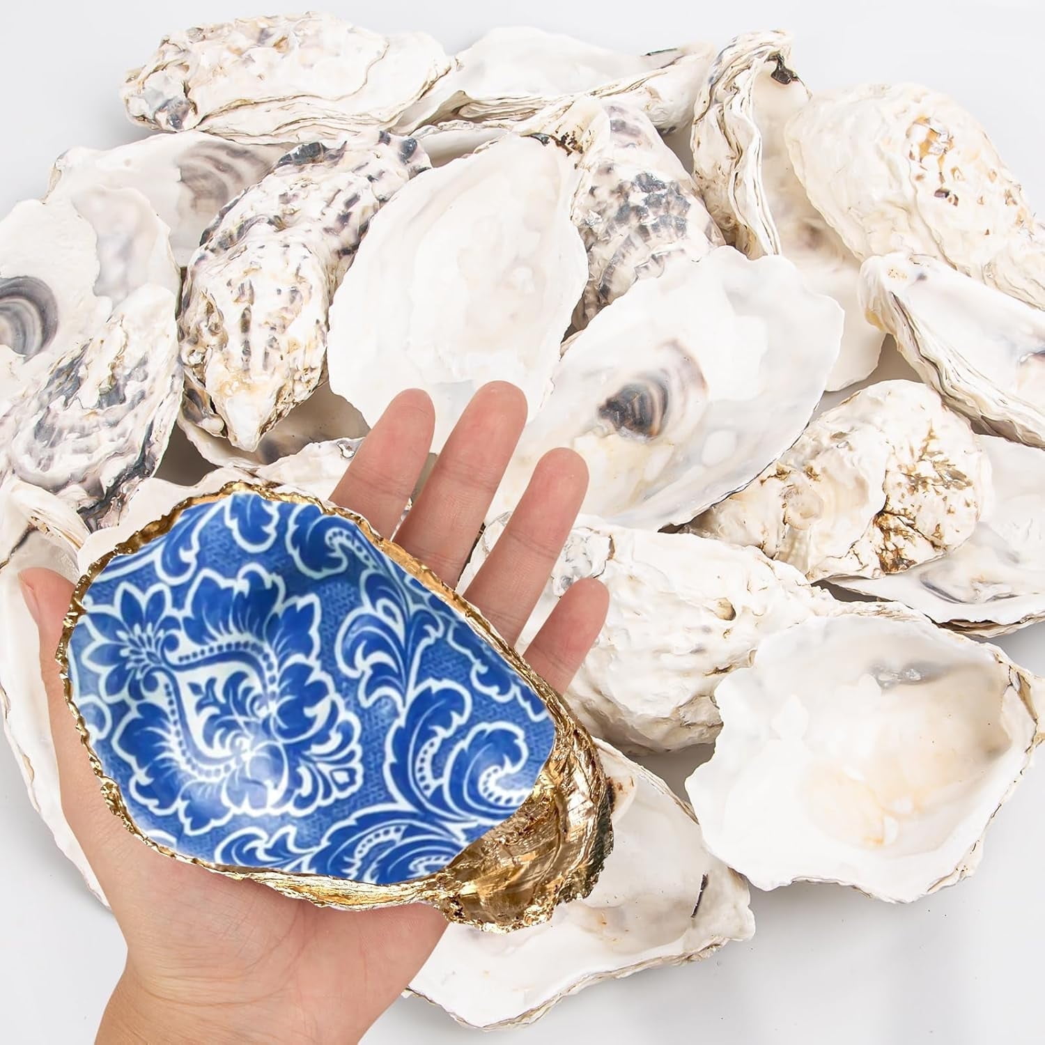 Click here for Sinkoo 20pcs Oyster Shells Flat & Concave 5-6 Extr... prices