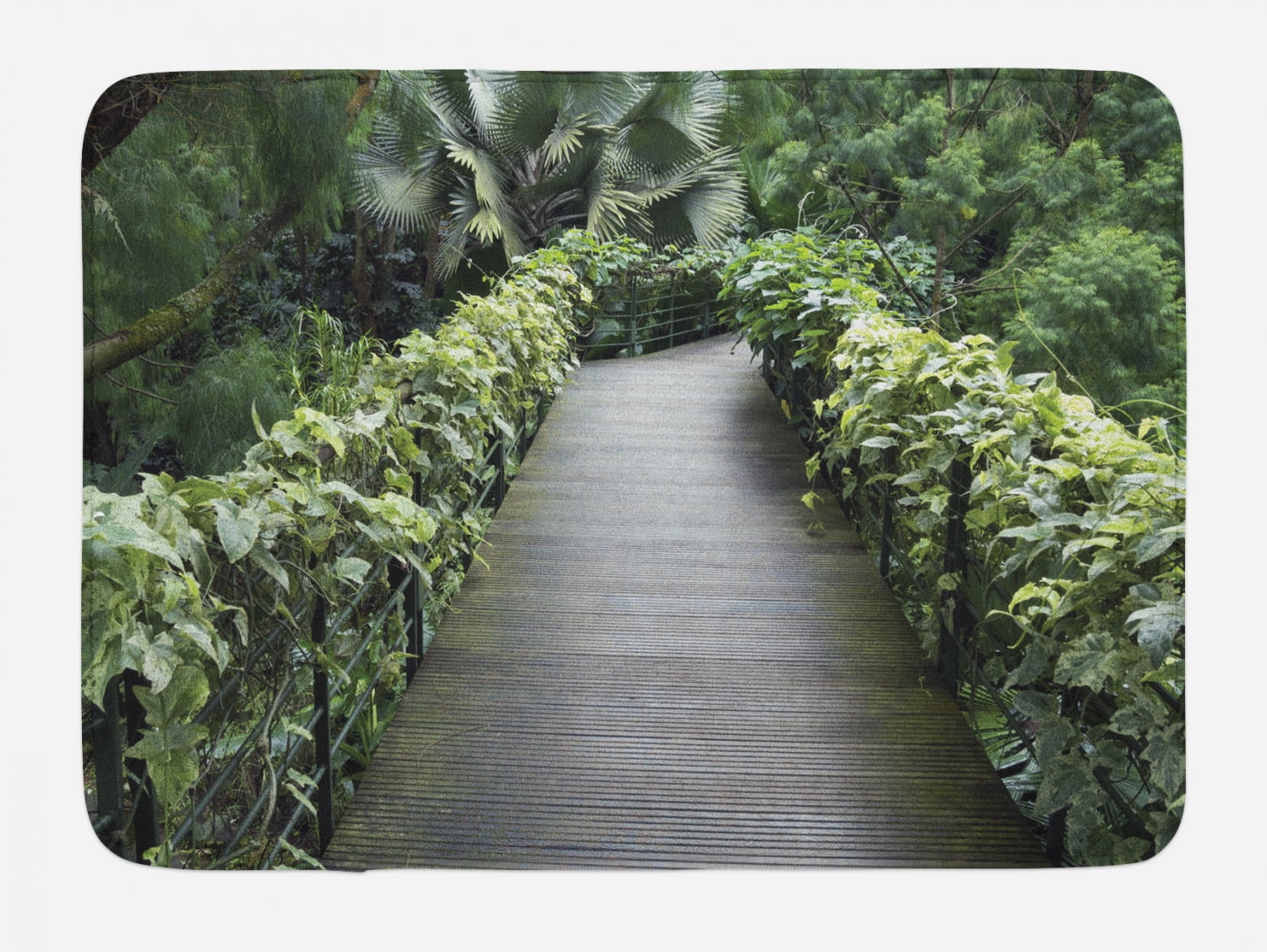 East Bath Mat, Scenic Wooden Pathway in Singapore Botanical Garden ...