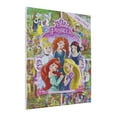 Disney Princess: Look and Find (Hardcover) - Walmart.com