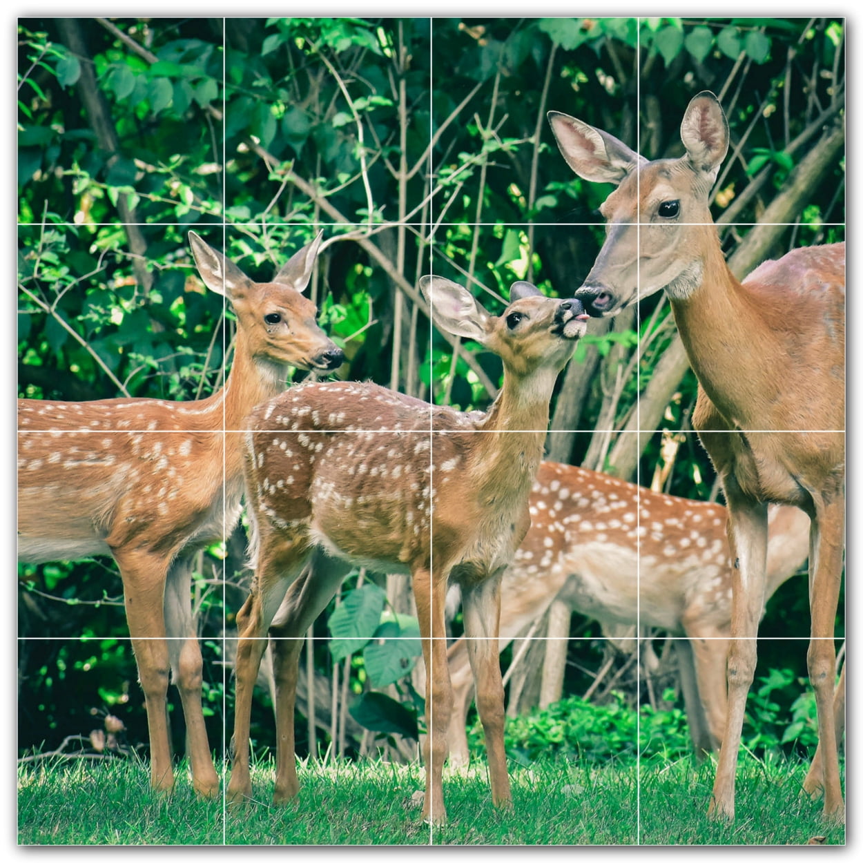 Picture-Tiles.com: Deer Ceramic Tile Wall Mural WAL500446-44XL. 48"W x ...