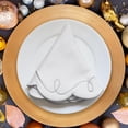 16.5 Inch Ribbon Twirl Embroidery Round Placemats Set of 4, Scalloped ...