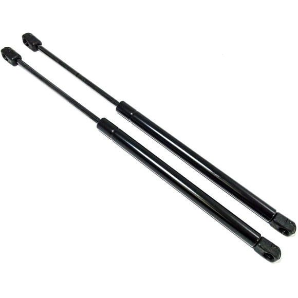Leer Canopy Gas Struts