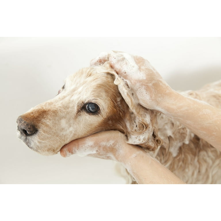 Is Goat Milk Soap Good For Dogs