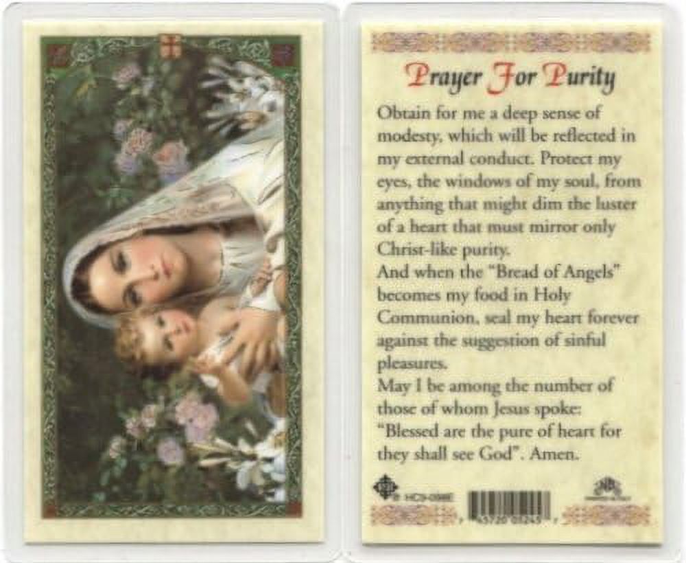 Madonna - Prayer for Purity Holy Card (HC9-098E) - Laminated - Walmart.com