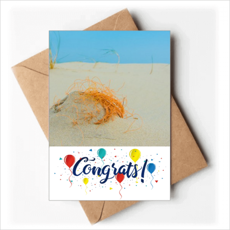 Ocean Sand Beach Orange Line Picture Wedding Cards Congratulations ...