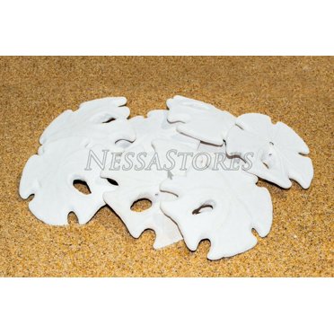 Coco Midrib Sea Shell Pack: Natural, 10 inches - Walmart.com