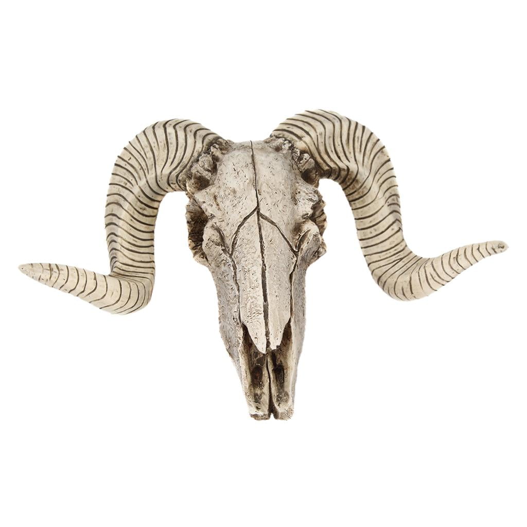 Faux Taxidermy Sheep Skull Decor modal Head Sculpture Wall - Walmart.com