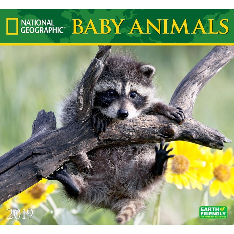 National Geographic Baby Animals