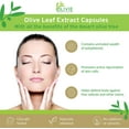 OLIVIE Organic Olive Leaf Extract Capsules | Antioxidant Polyphenols, Hydroxytyrosol | Anti ...