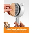 Cat Steam Brush, Brushes for Indoor Cats with Release Button, Dual ...