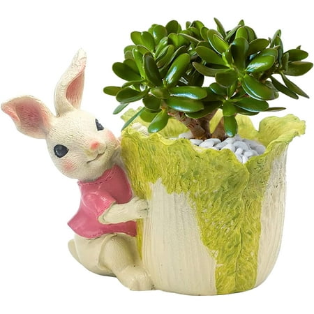 Bunny Succulent Pot, Cute Resin Rabbit Flower Pot Rabbit and Cabbage ...