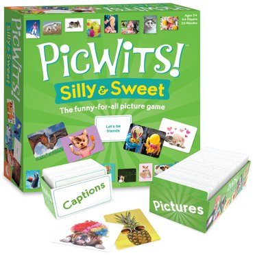 PicWits! - Games - 1 Piece - Walmart.com