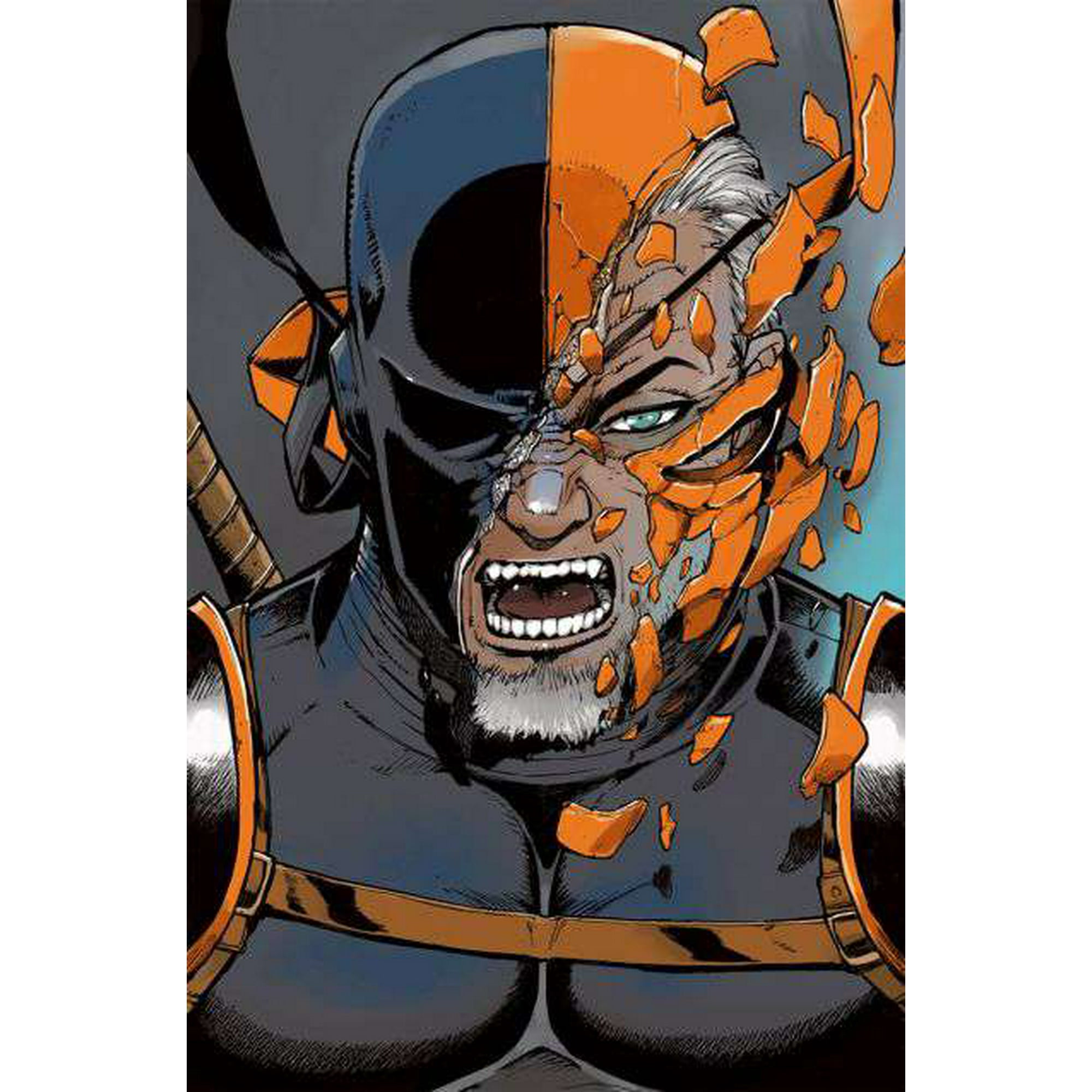 Deathstroke And Ravager