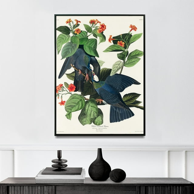 White-crowned Pigeon - 1827 | John James Audubon | Premium Fine Art ...