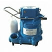 Goulds 1/3 HP 1-1/2" F Submersible Sump Pump 115V GSP0311 - Walmart.com