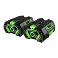 Ego Power+ 2-Pack 5Ah Lithium-Ion Battery with Upgraded Fuel Gauge and ...