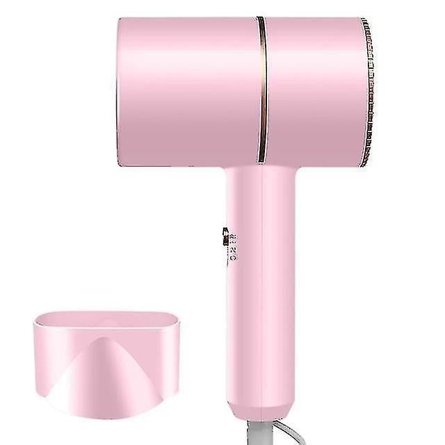 Secador de pelo HUOGUO Salon Blower con negativo iónico rosa | Bodega ...